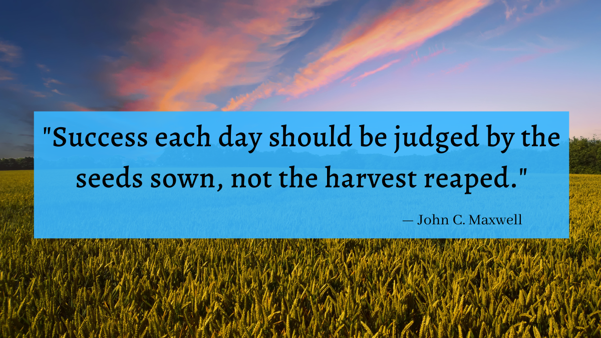 Five Tips for Reframing Should Statements – My Brain's Not Broken